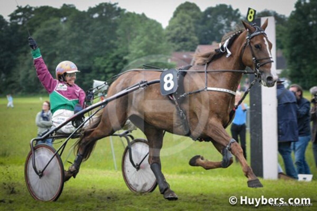 Jouster Merke Koersen - Jouresdagblad.nl